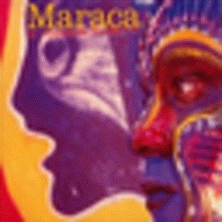 Maraca - Yo Bailo De Todo - Xenox Music Media | EN